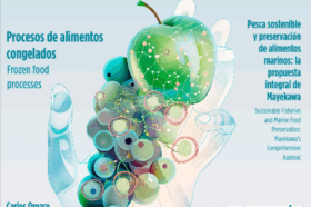 GE Aerospace invertirá 550 mdp para ampliar capacidades de fabricación ...